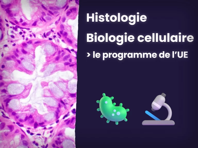 🔬 Histologie et Biologie cellulaire : le programme PASS/LAS